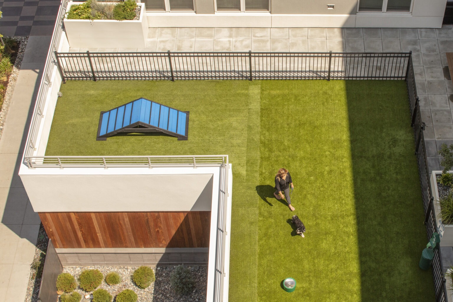 Pet-Friendly Communities: Why They Matter and How to Get Them Right ...